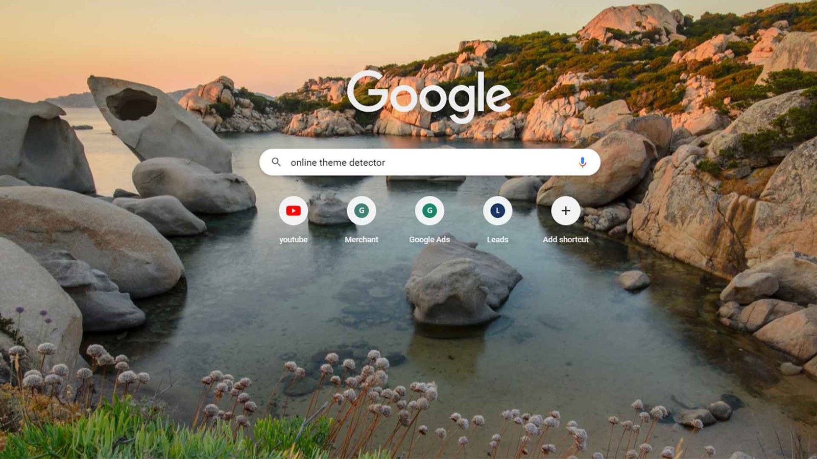 How to Find Out What Theme A Website is Using - Themeies
